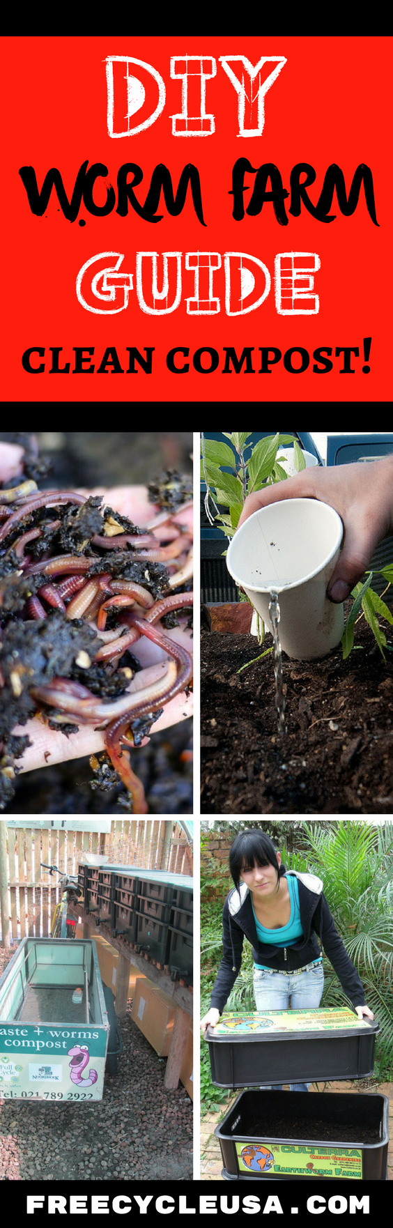 How To Start A Worm Farm – Freecycle USA